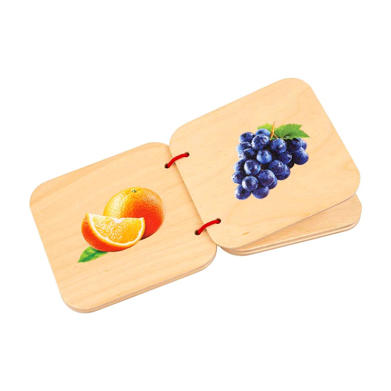 Montessori My First Book: Fruit 我的第一本書:水果 – MY SCHOOL BUS