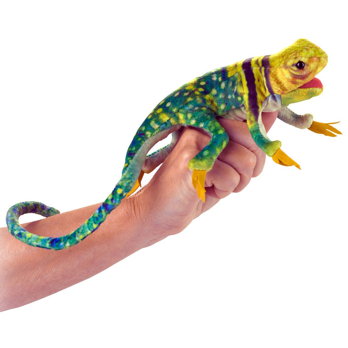 Mini Collared Lizard Finger Puppet 迷你領蜥手指玩偶 – MY SCHOOL BUS