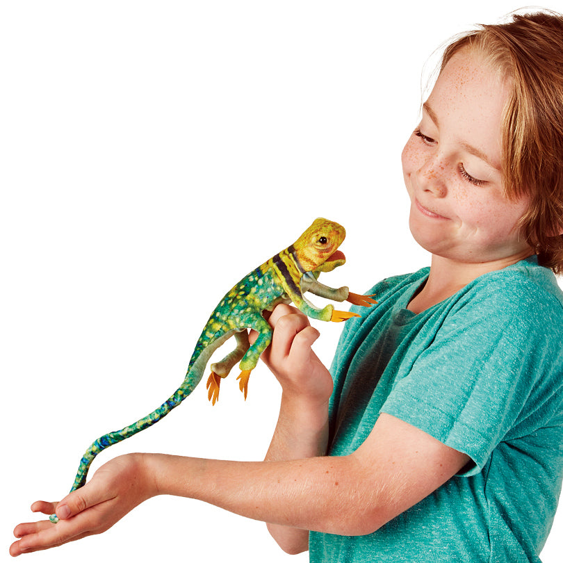 Mini Collared Lizard Finger Puppet 迷你領蜥手指玩偶 – MY SCHOOL BUS