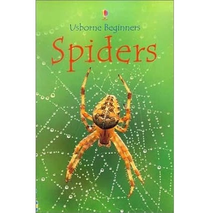 Usborne Beginners Spiders – MY SCHOOL BUS