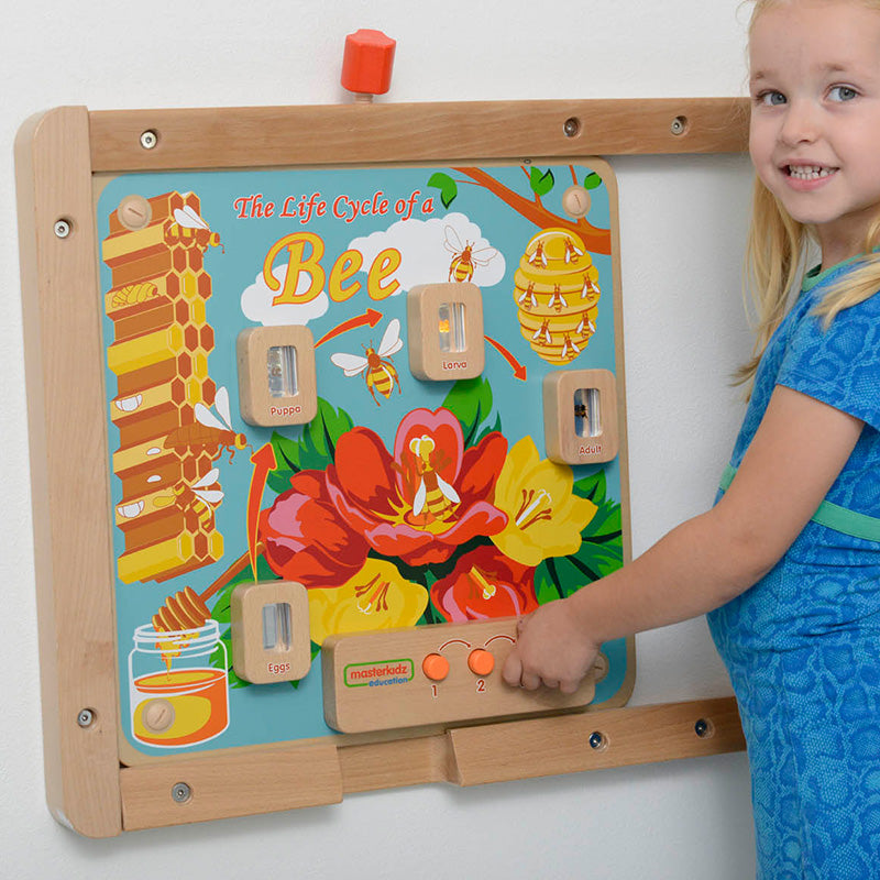 Masterkidz Wall Elements - Light-Up Bee Life Cycle Stages Panel 牆面遊戲-蜜 ...